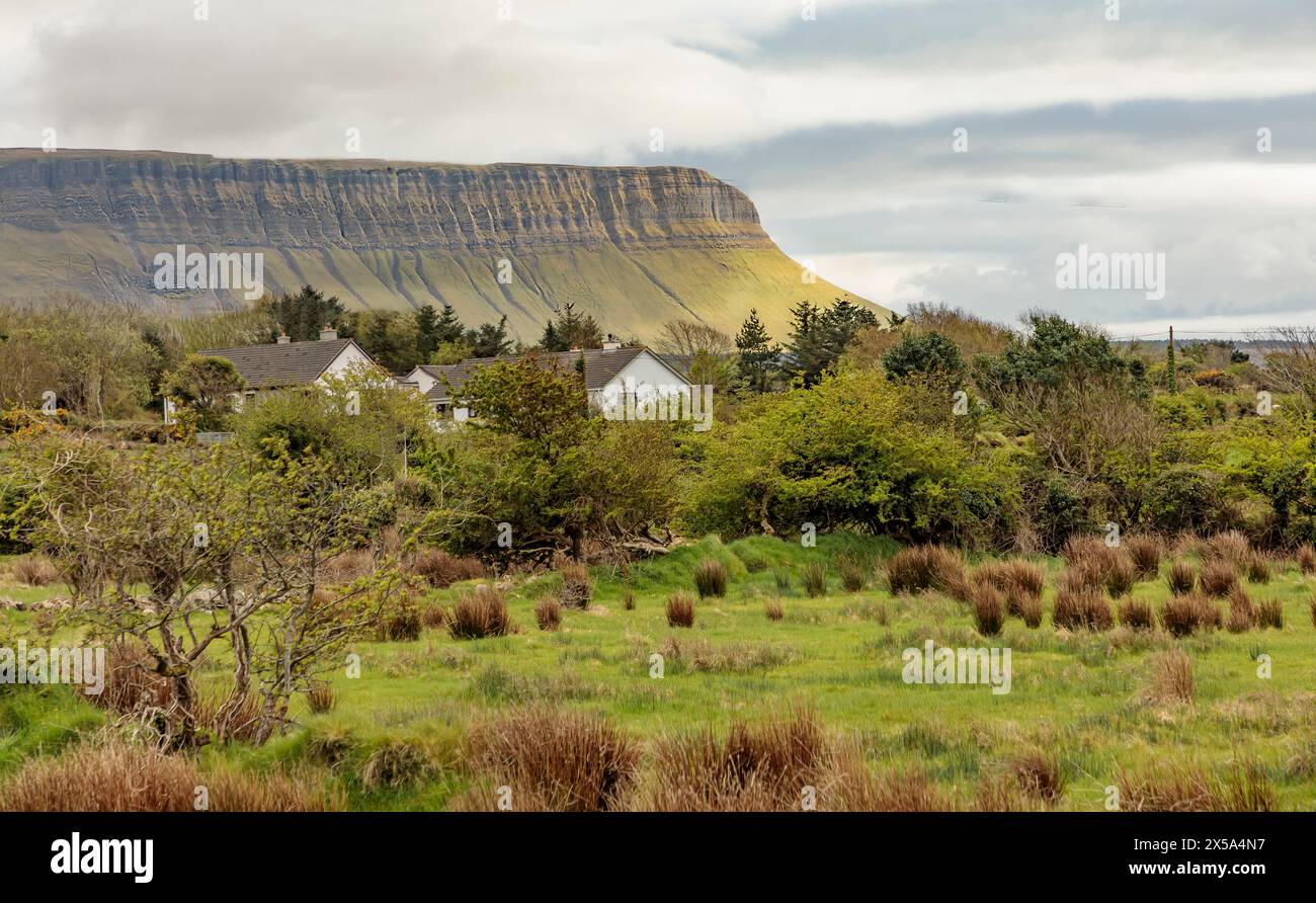 The table top mountain of Benbulbin in the backdrop of two white houses ...
