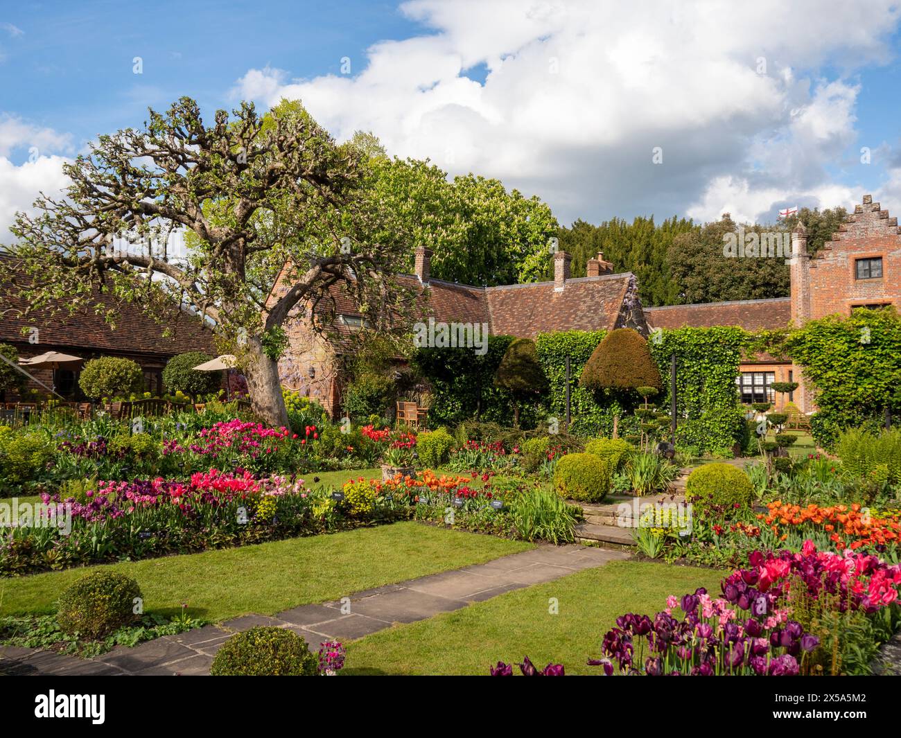 Chenies Manor House and gardens at the height of tulip season. Blue sky ...