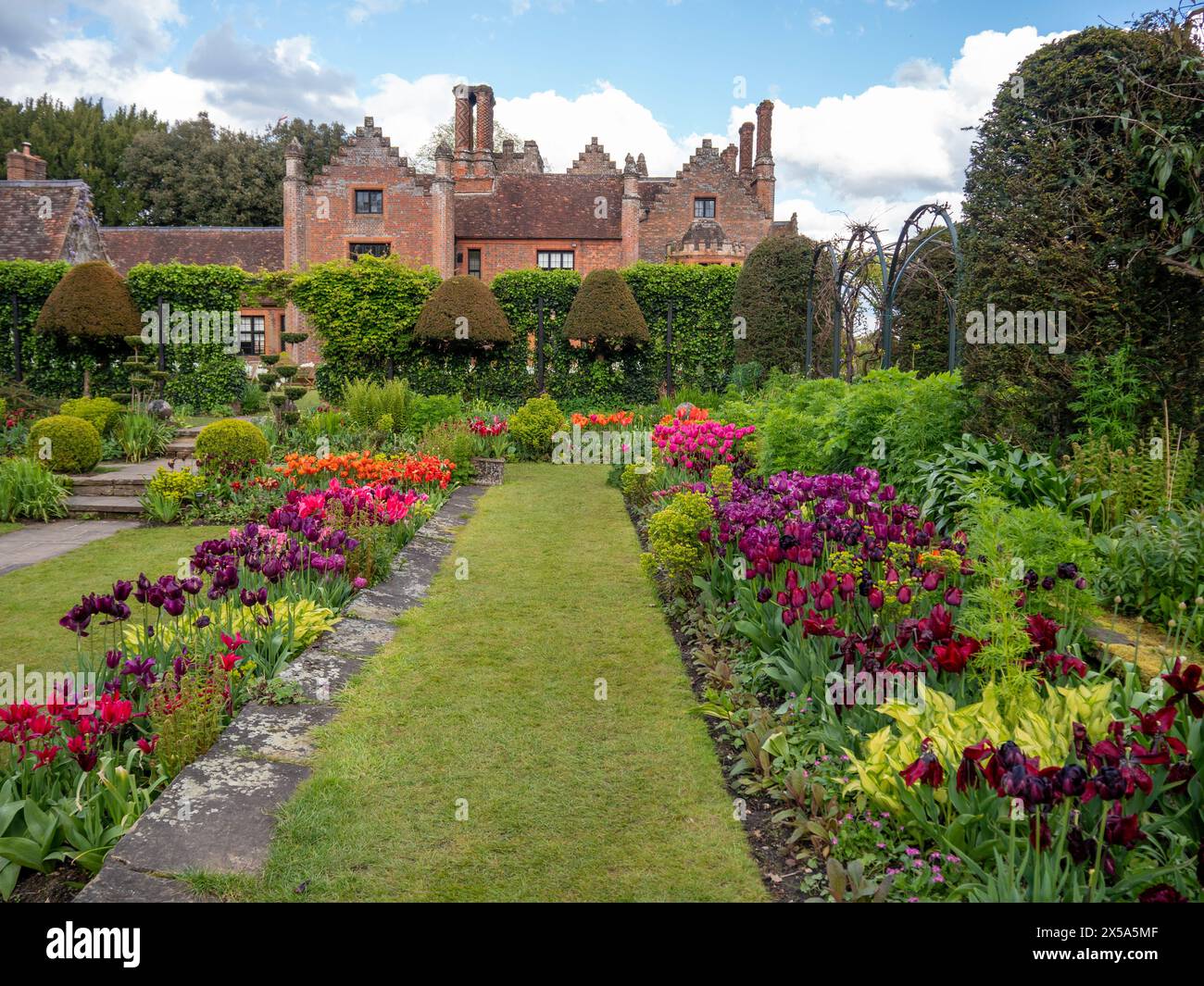 Chenies Manor House and gardens at the height of tulip season. Blue sky ...