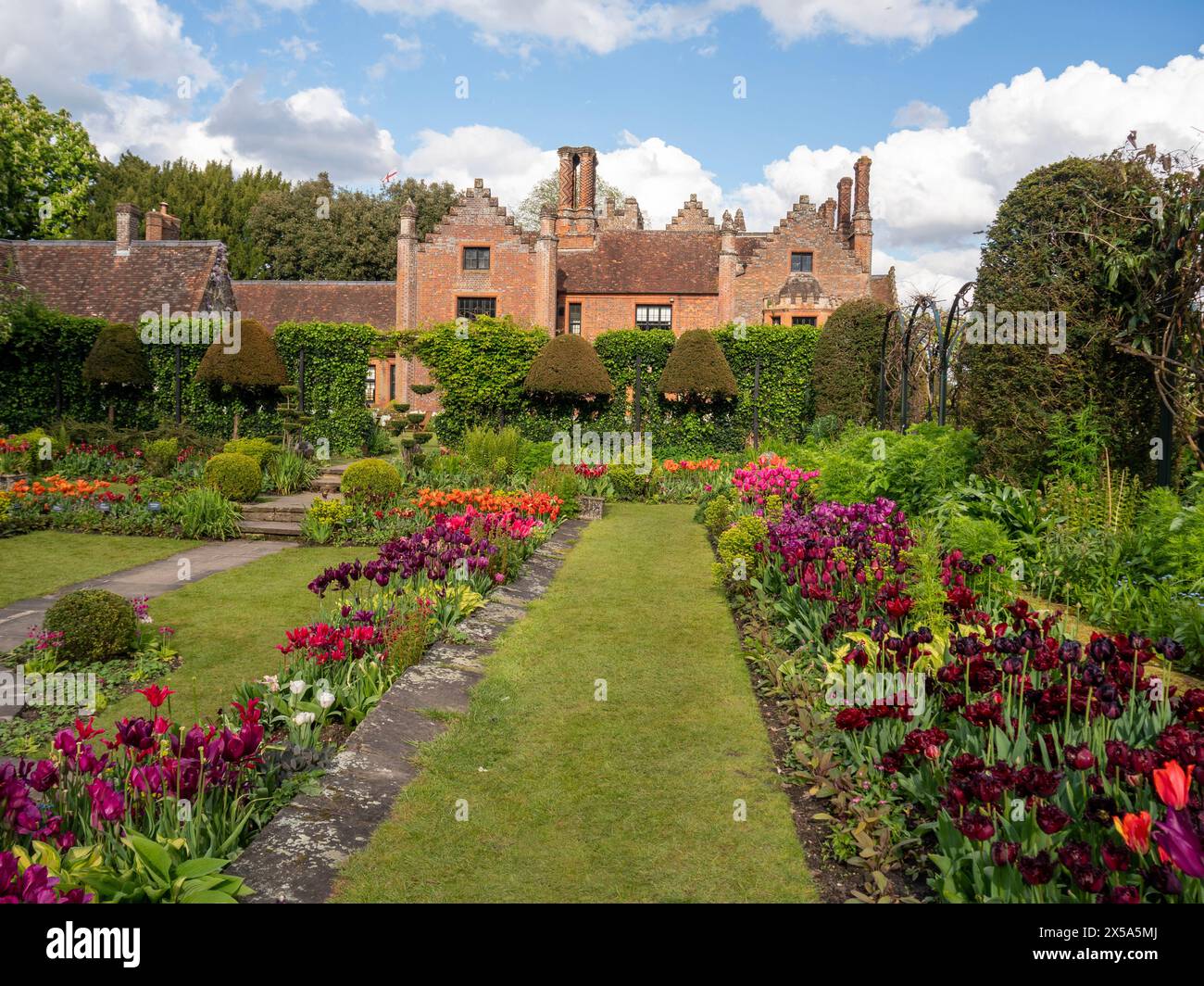 Chenies Manor House and gardens at the height of tulip season. Blue sky ...