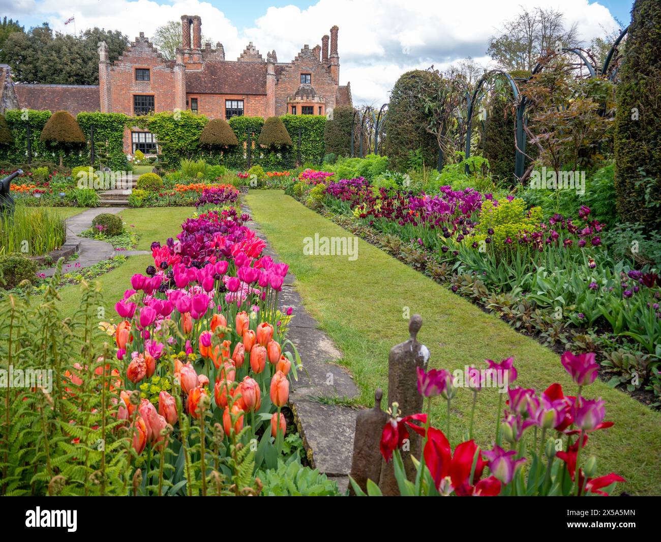 Chenies Manor House and gardens at the height of tulip season. Blue sky ...