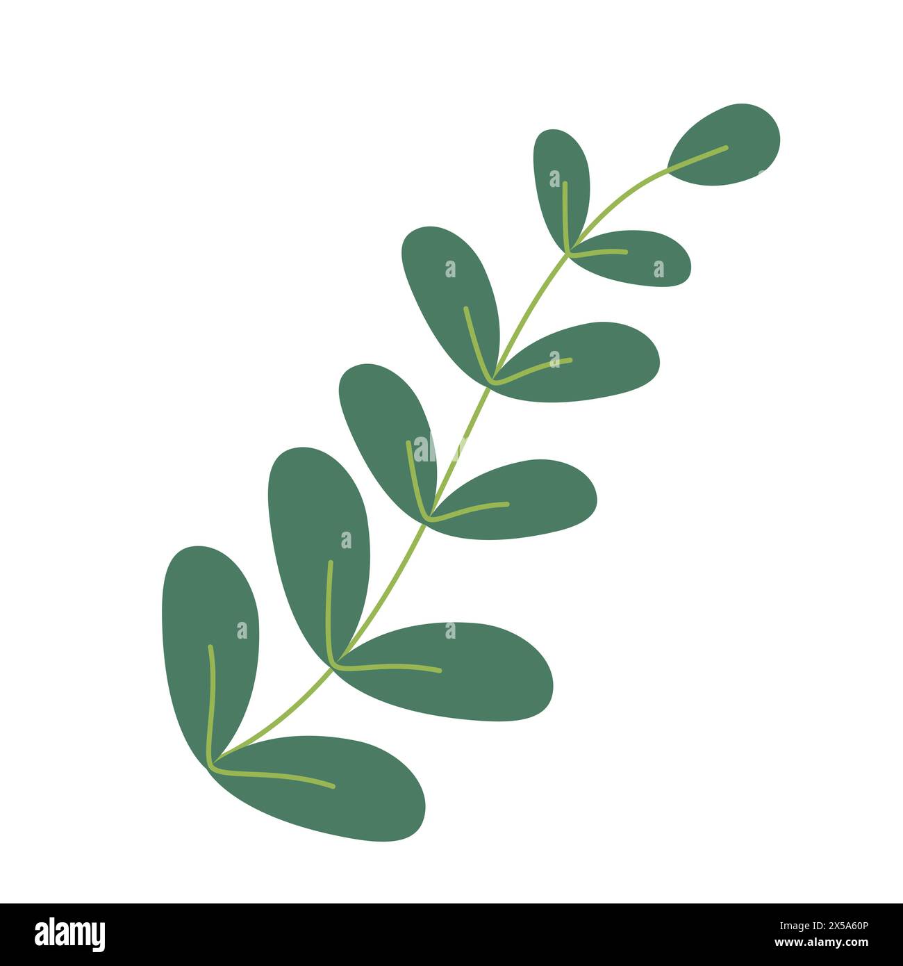 Little branch with green leaves over white background. Vector graphics ...
