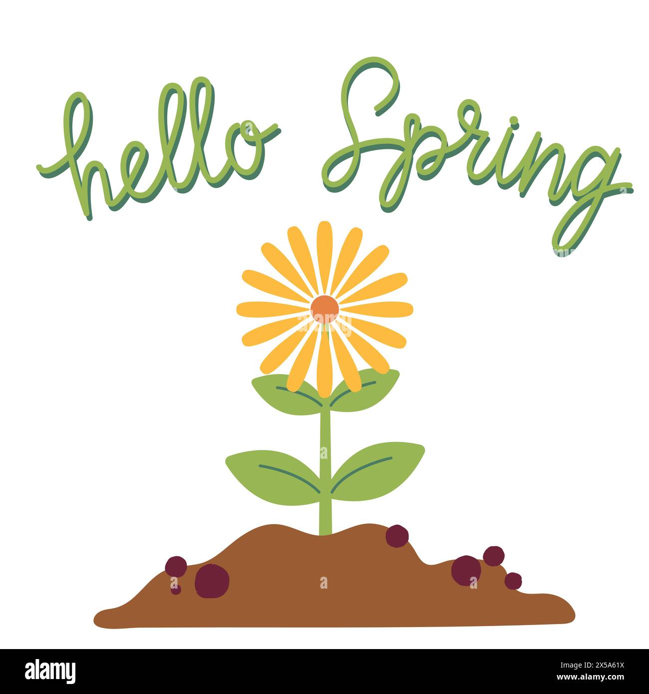 Hello spring card with blooming flower on white background. Gardening ...