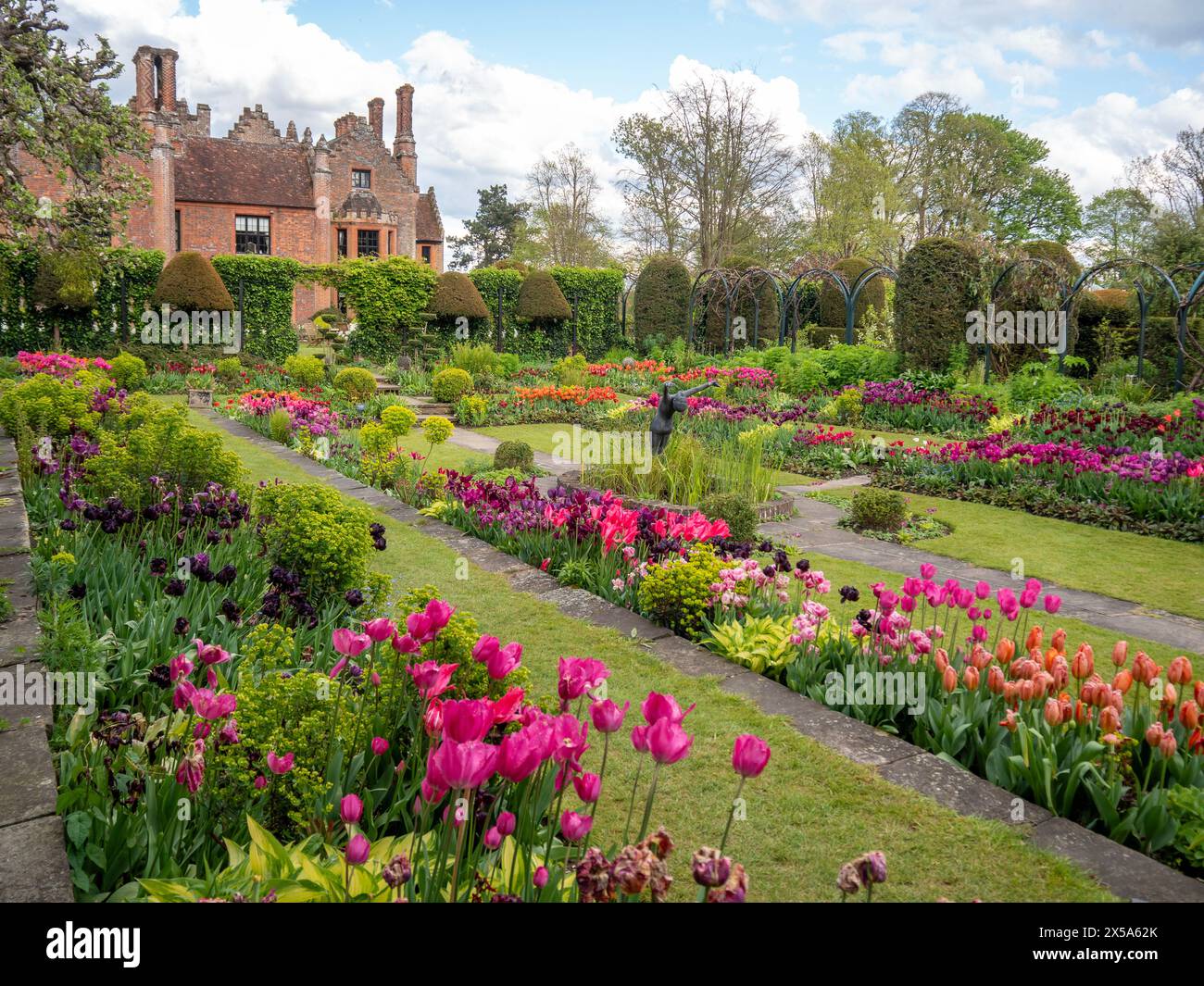 Chenies Manor House and gardens at the height of tulip season. Blue sky ...