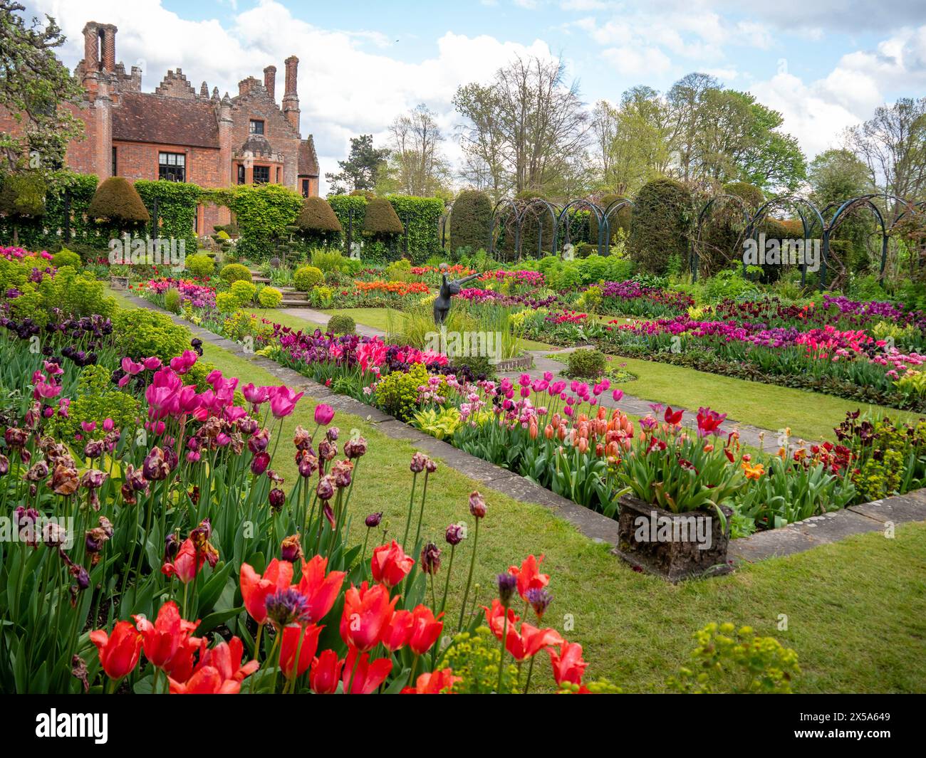 Chenies Manor House and gardens at the height of tulip season. Blue sky ...