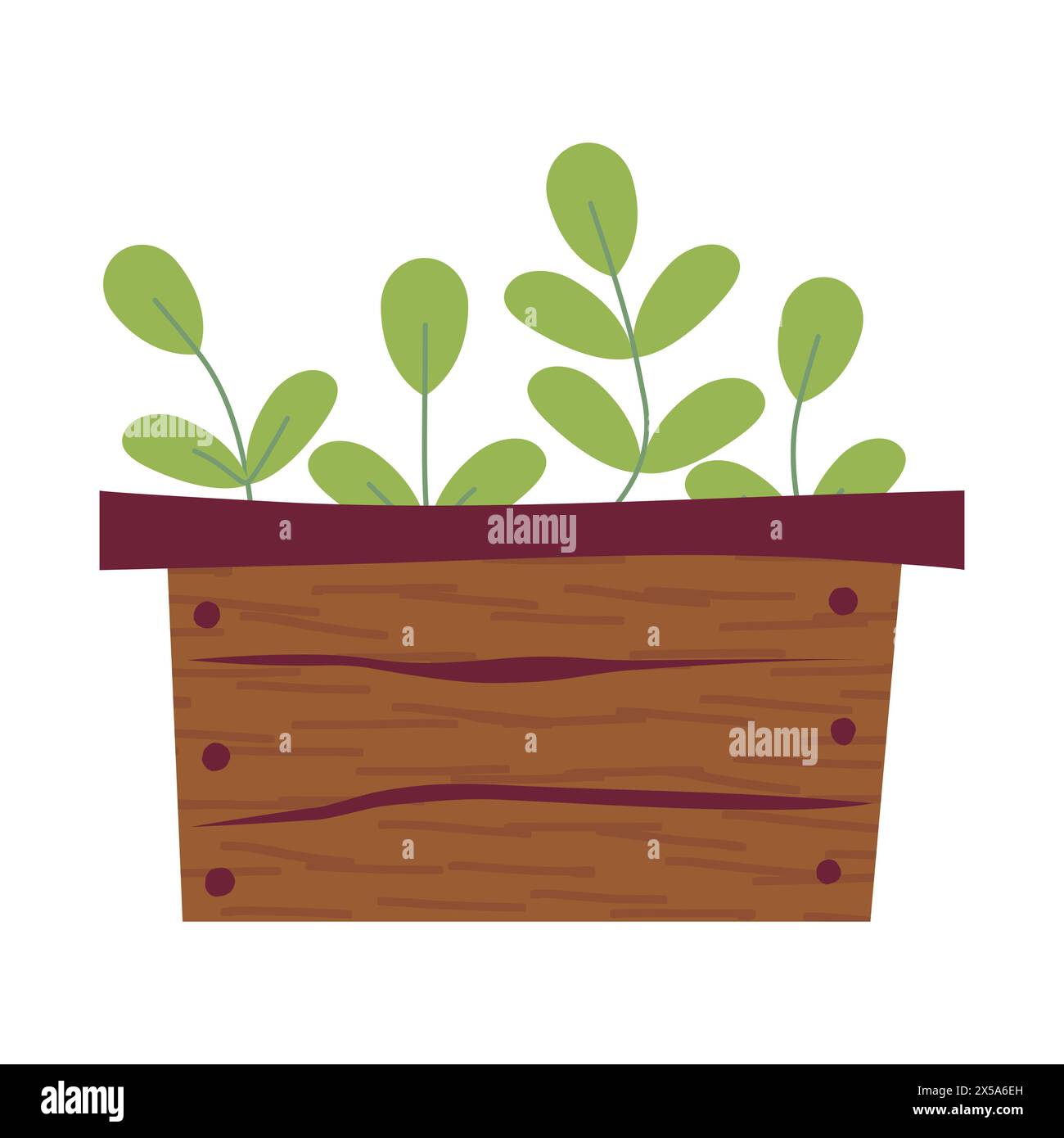 Vector drawing of cute box with seedlings. Healthy grass in wooden box ...