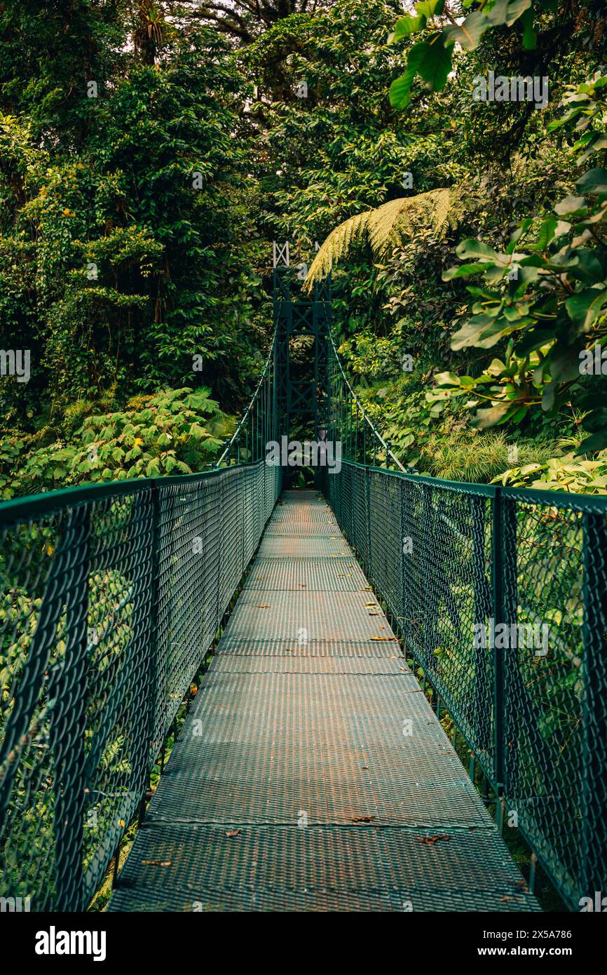 A serene hanging bridge surrounded by lush greenery in the Costa Rican ...