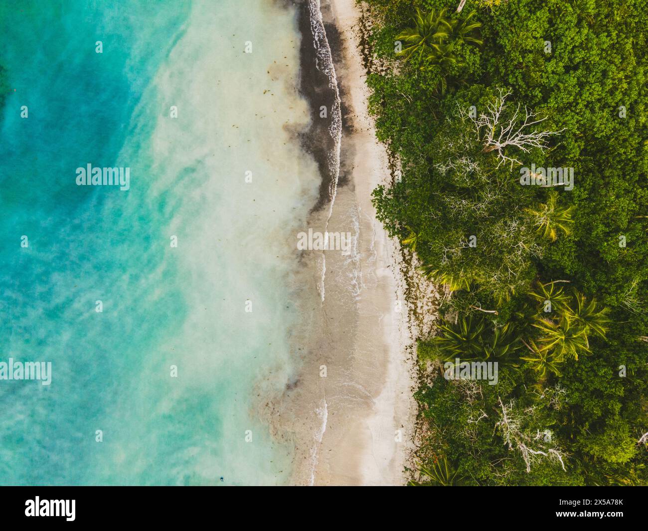 A shot that captures the exotic beauty of a tranquil beach meeting a ...