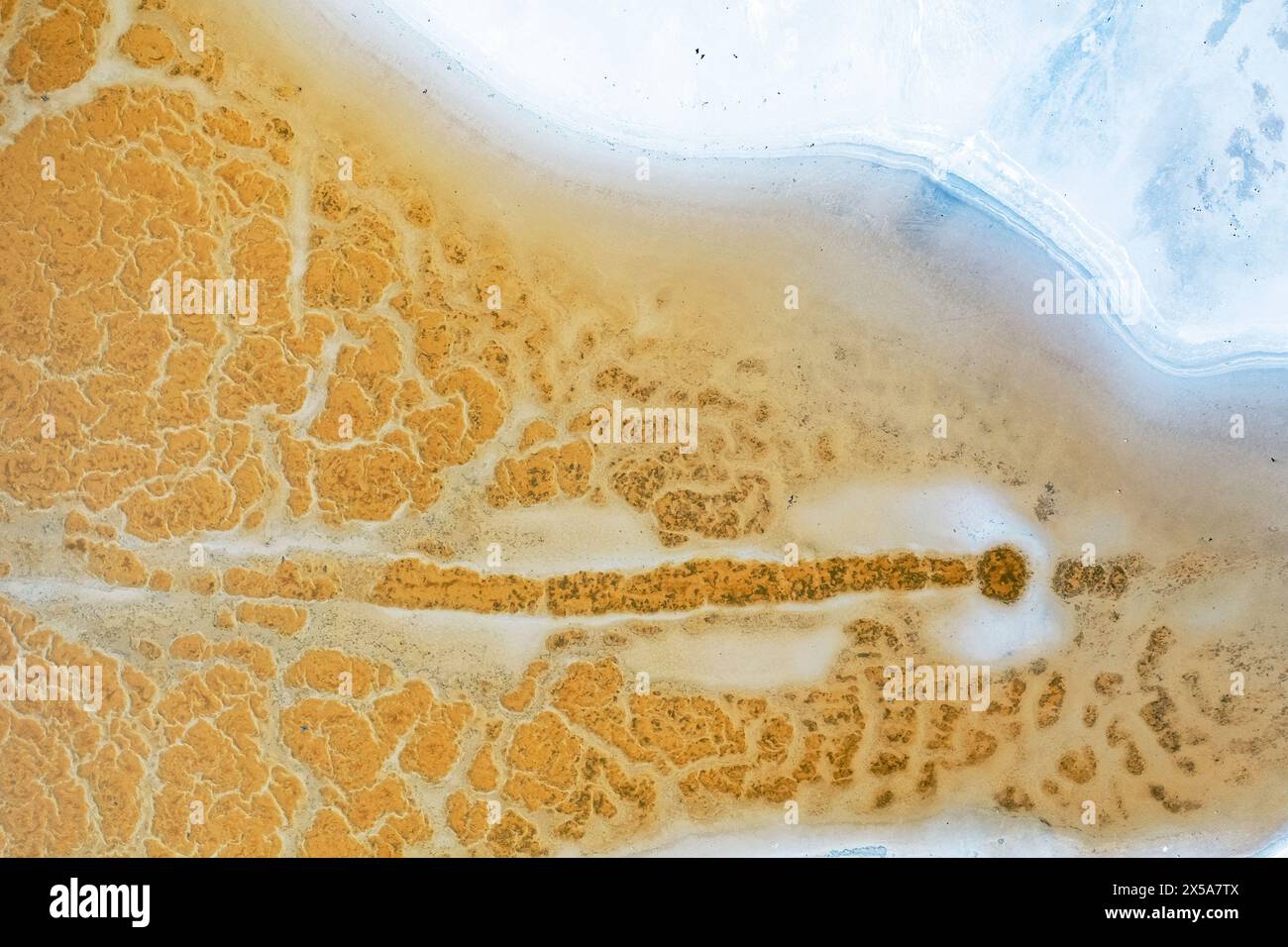 An aerial perspective reveals the textured patterns of salt deposits in ...