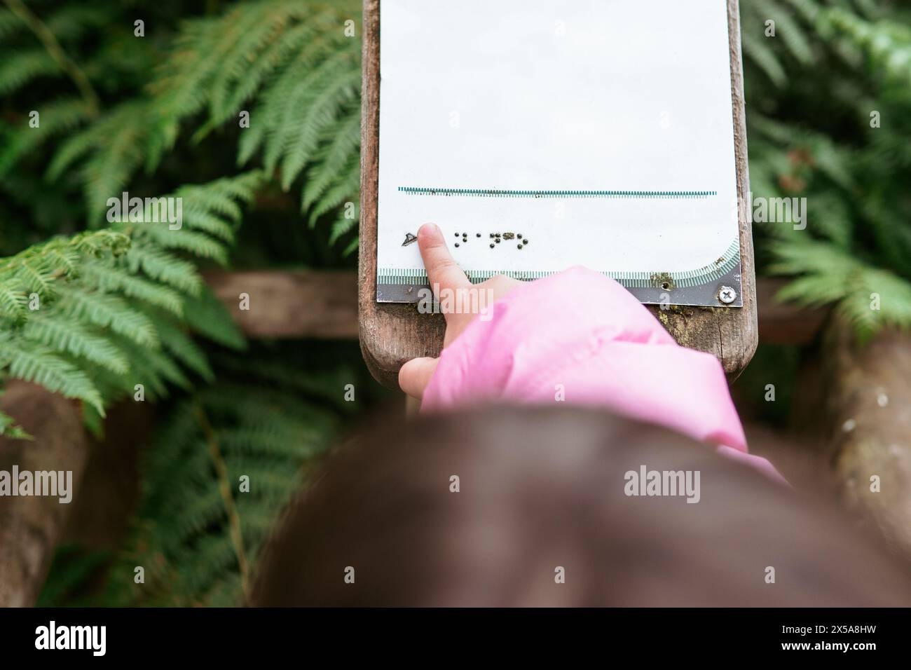 From above cropped unrecognizable female child's hand touching Braille ...
