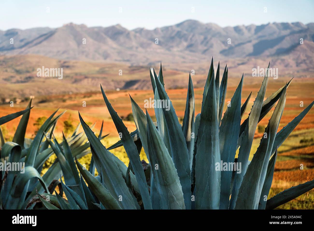 Rural swaziland hi-res stock photography and images - Alamy