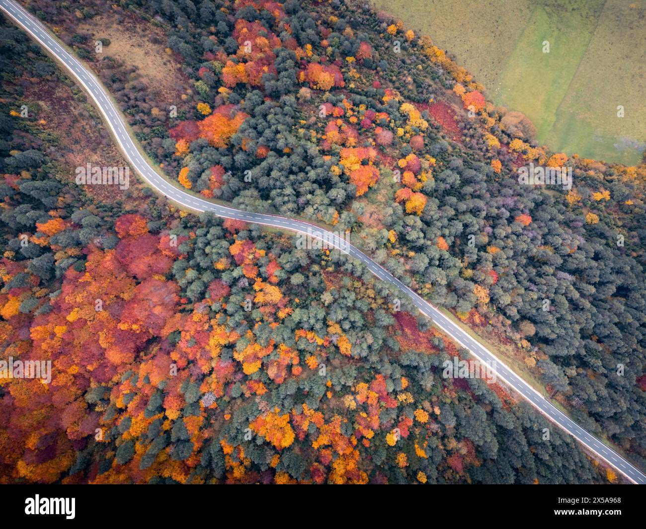 Top aerial view shot captures the vibrant fall colors in the Pyrenees ...