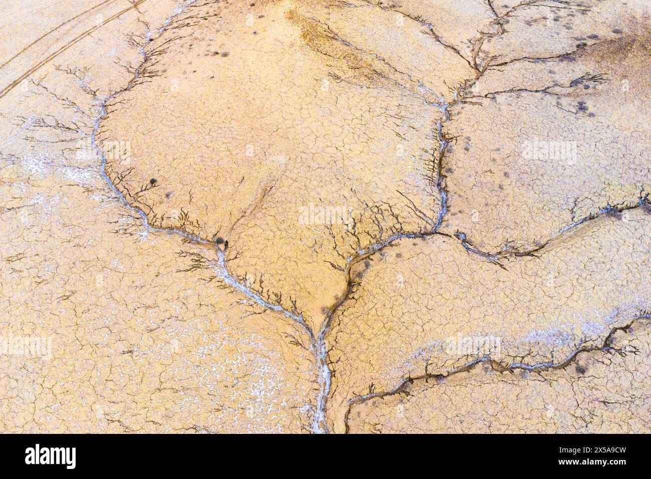 Overhead shot capturing intricate patterns of dried, cracked earth in ...