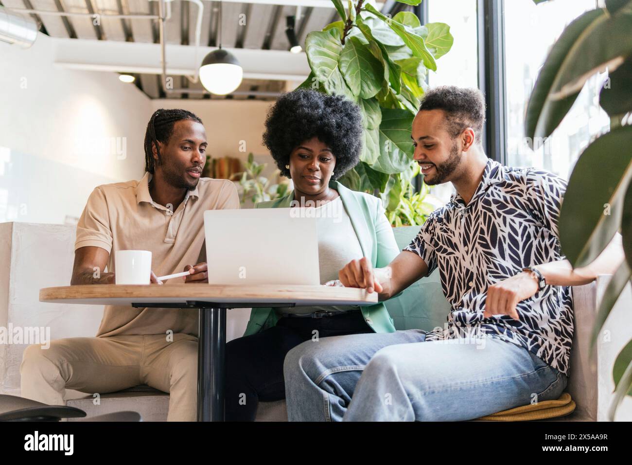 Three professional colleagues collaborate and share ideas on a project ...