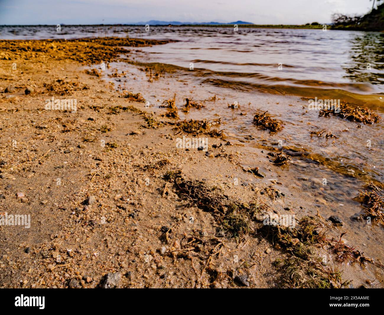 Freshwater lake shoreline, erosion, environmental change Stock Photo ...