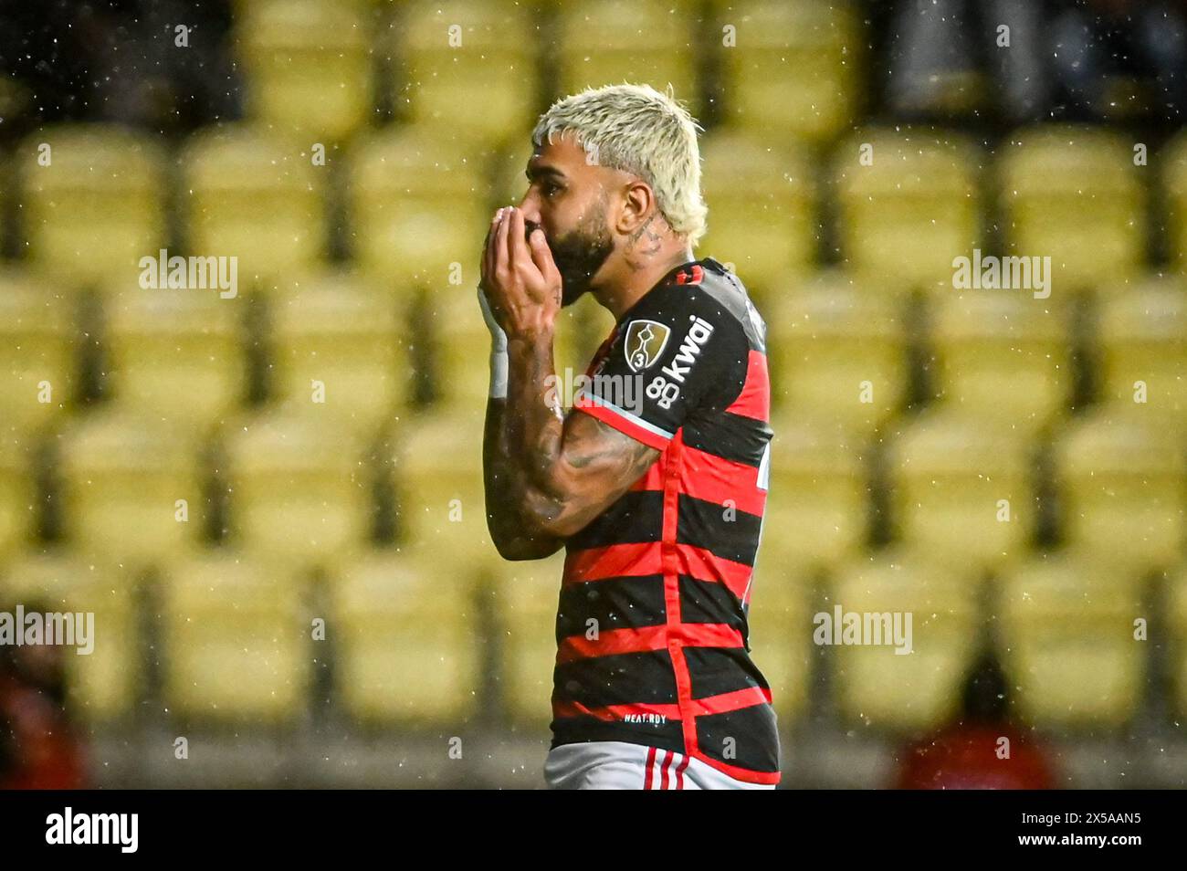 Gabigol 2024 hi-res stock photography and images - Alamy