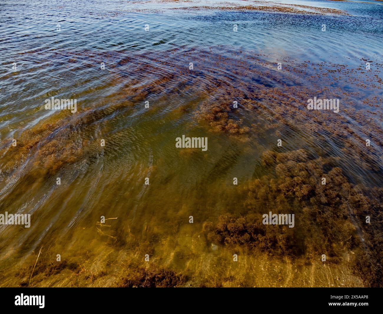 Freshwater lake shoreline, erosion, environmental change Stock Photo ...