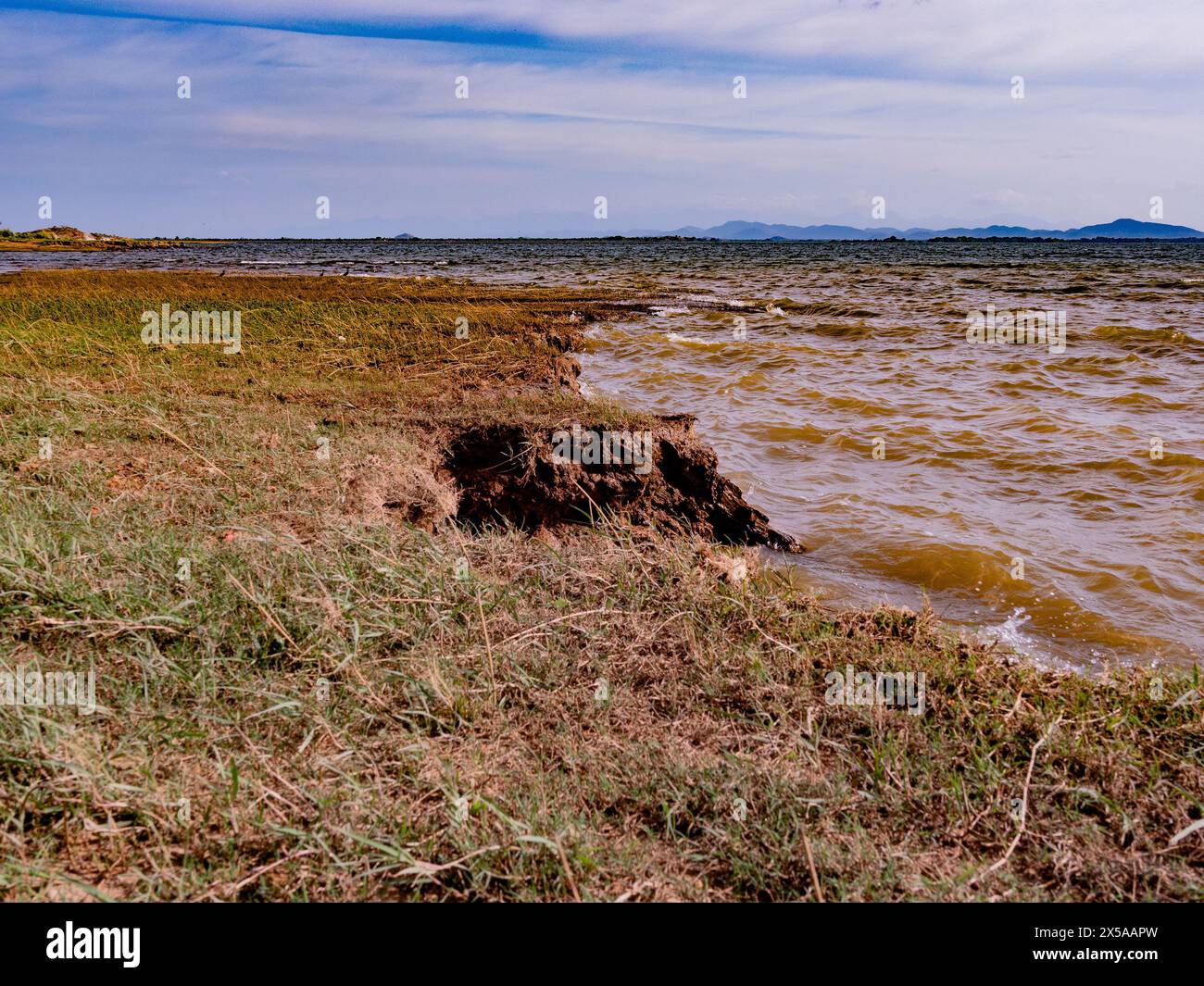 Freshwater lake shoreline, erosion, environmental change Stock Photo ...