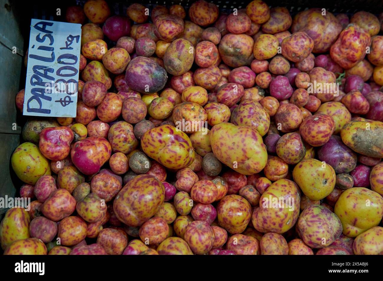 Organic Ulluku, papa lisa with its price in argentine peso at a market ...