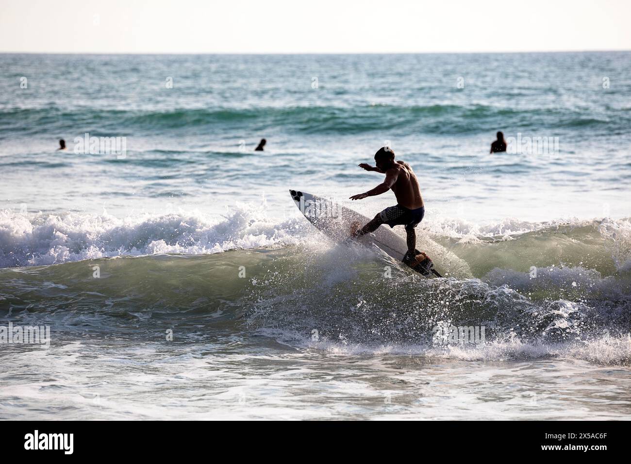 A man, Tourist surfer surfing, cacthing a good wave on spectacular ...