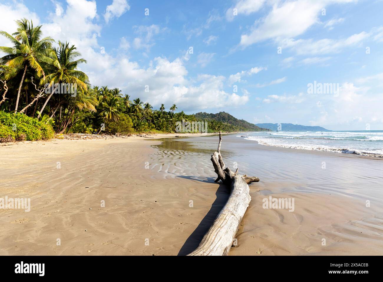 Tree log on a spectacular Playa Hermosa, Sandy Hermosa beach on Nicoya ...
