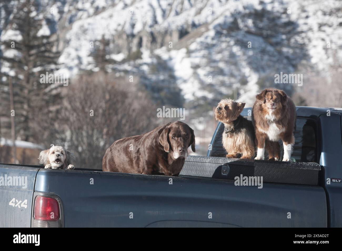 Ridgeway colorado town hi-res stock photography and images - Alamy
