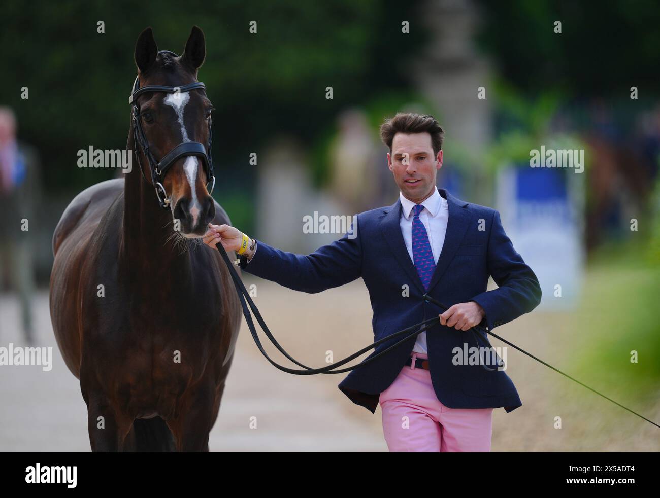 Cavalier Crystal and Harry Meade during the first horse inspection on ...