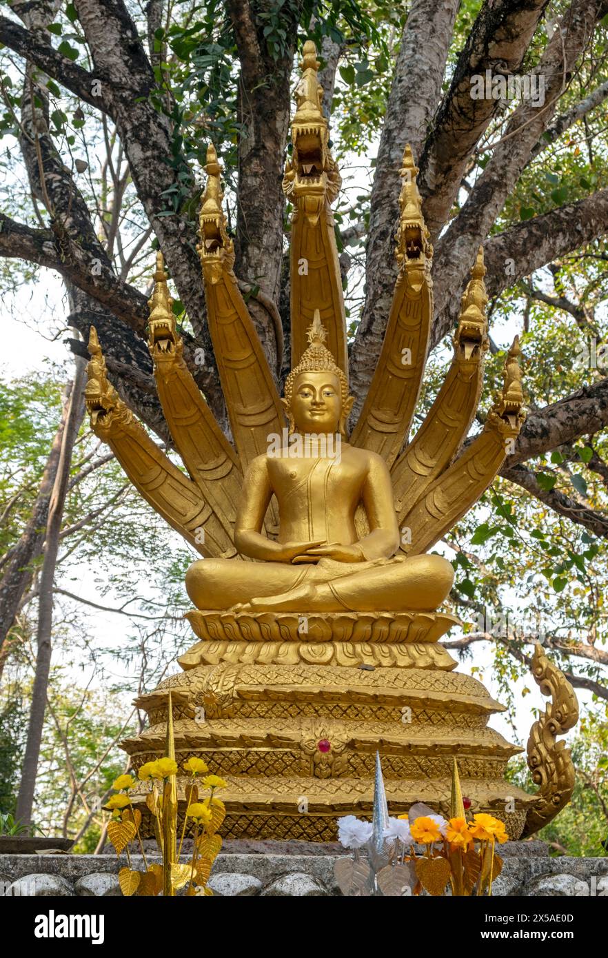 Statue of Mucalinda sheltering Buddha, Phousi or Phu Si Hill, Luang ...