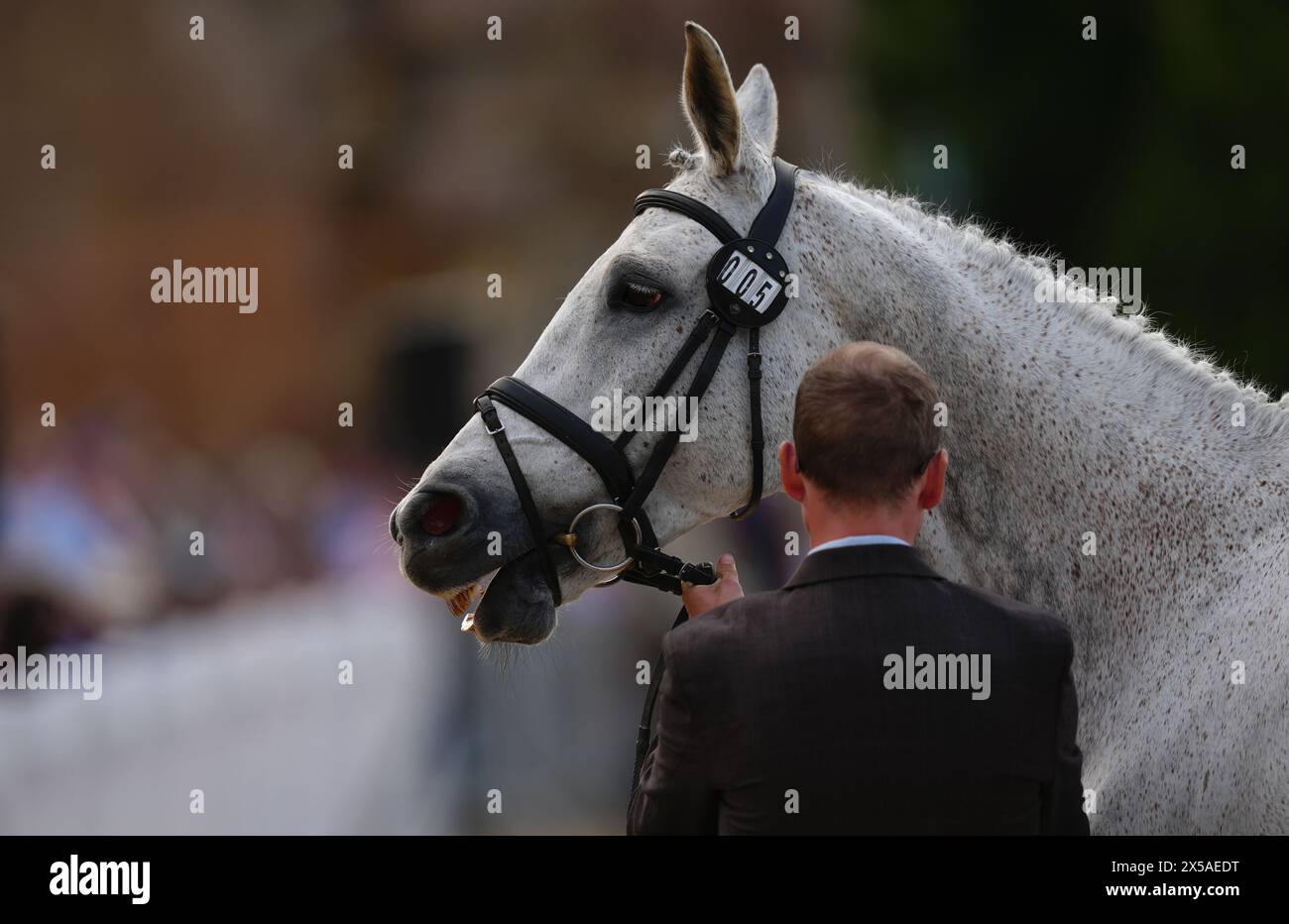 Dreamliner and Tom Rowland during the first horse inspection on day one ...