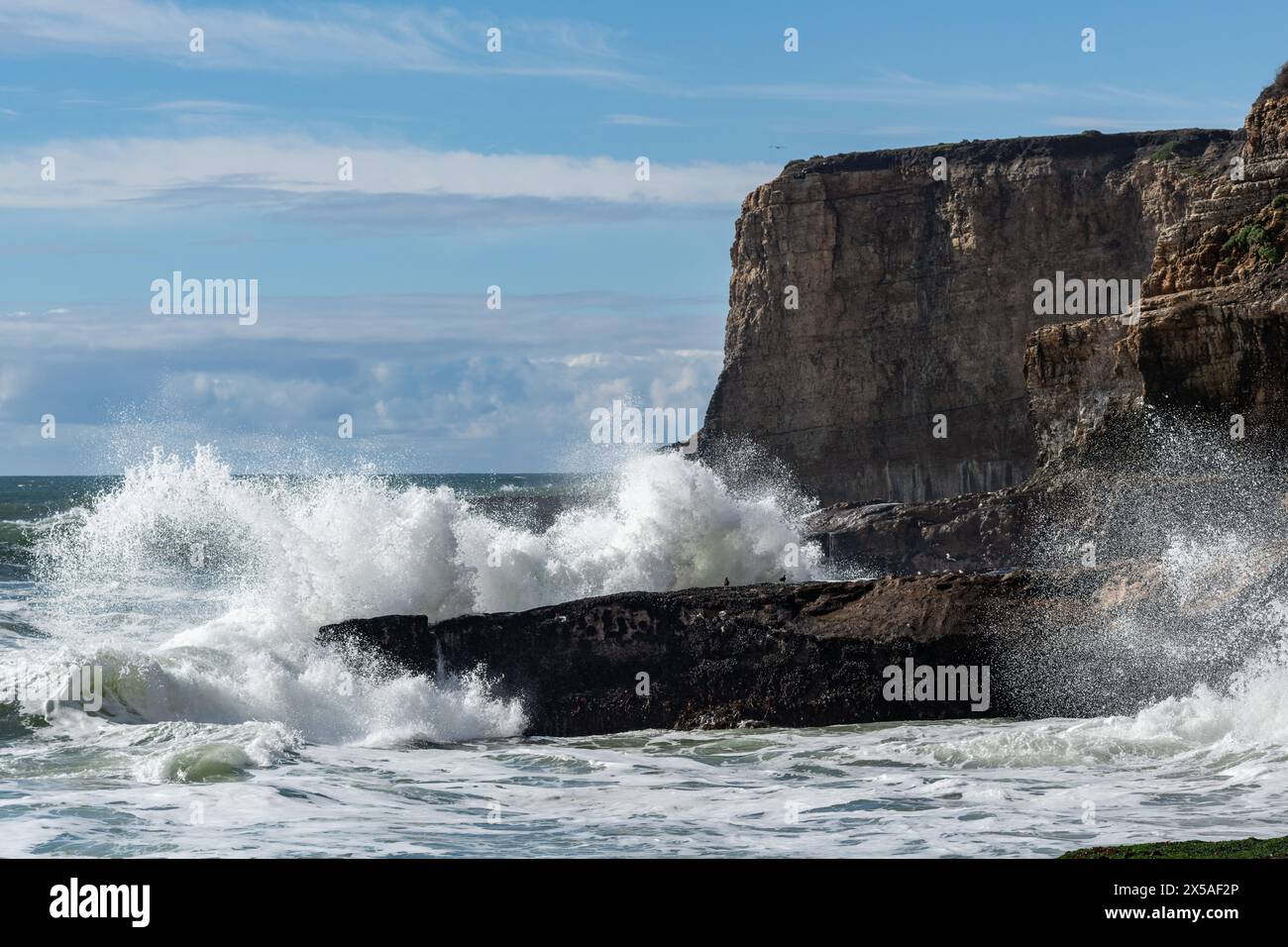 Detail of a white, foamy wave crashing on the shore of a black, rocky ...