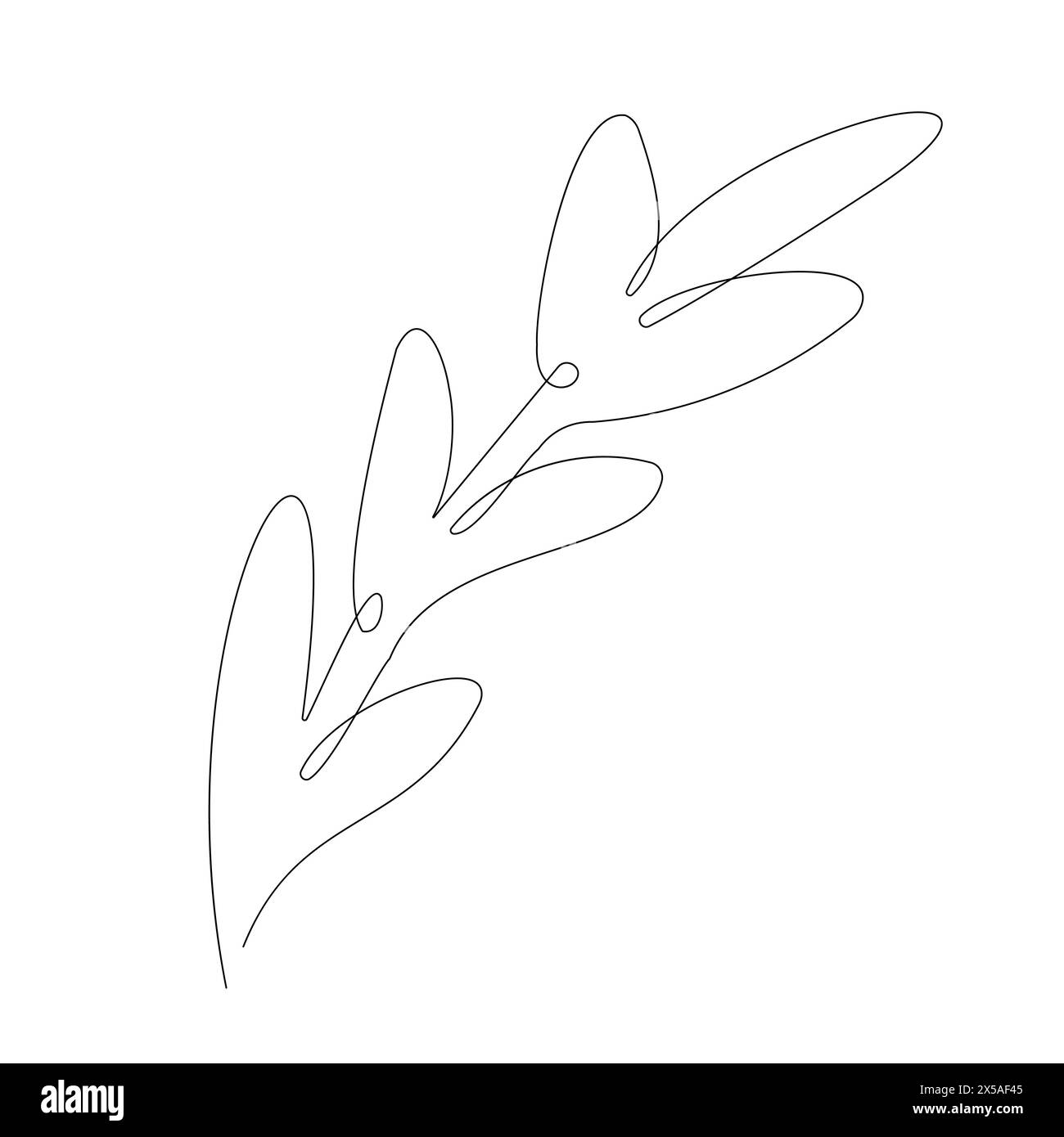 One line drawing branch with leaves. Branch with leaves on minimalist ...