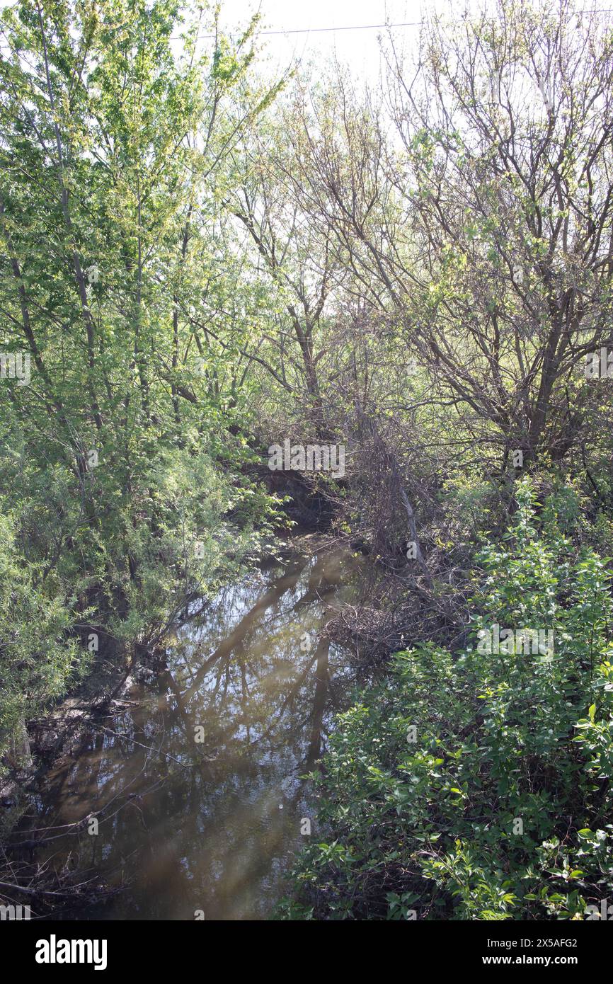Undisturbed Landscape as Seen Along Hiking Trail in Illinois Forest ...