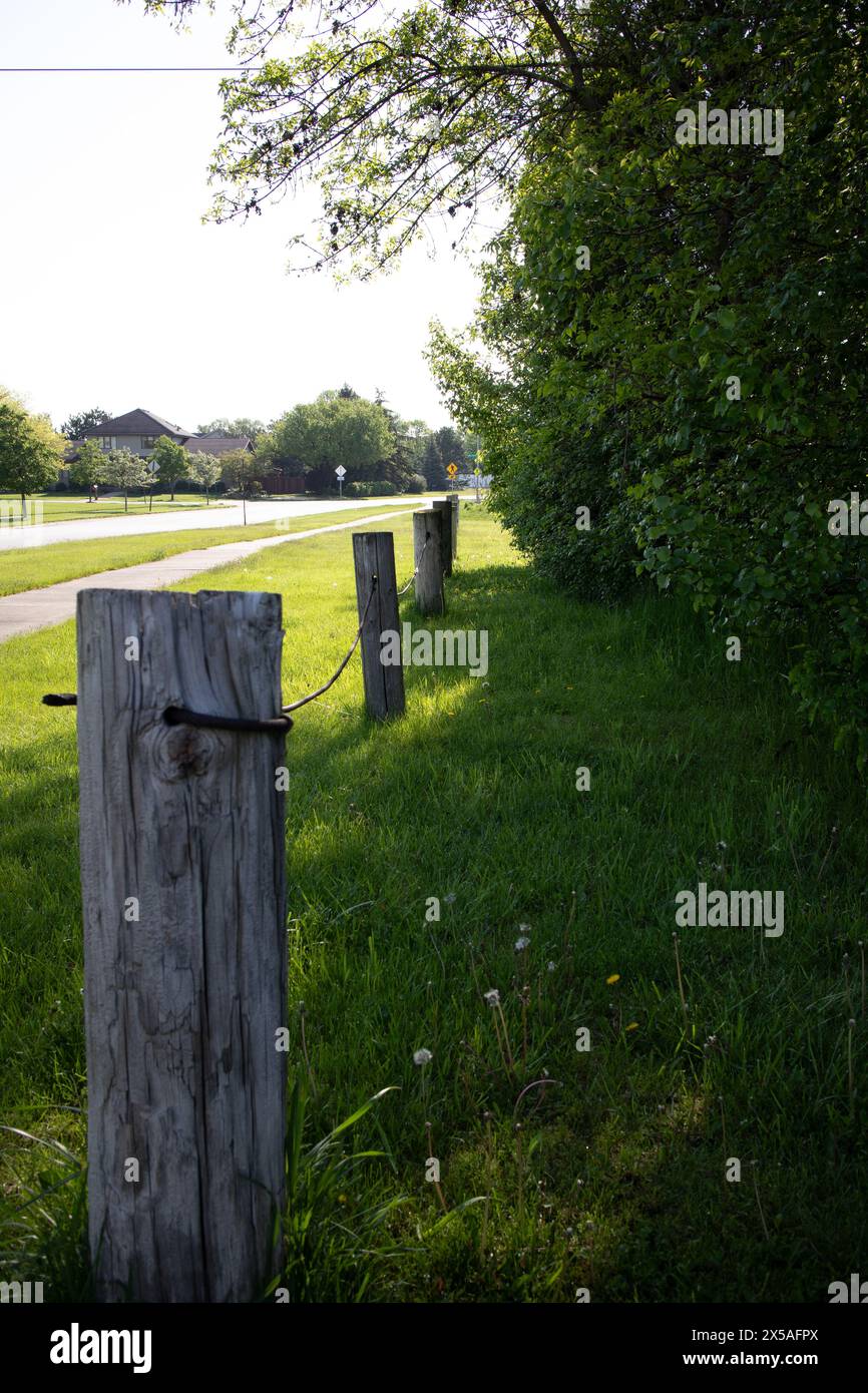 Undisturbed Landscape as Seen Along Hiking Trail in Illinois Forest ...