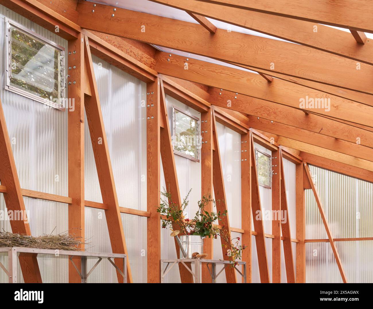 Timber frame and polycarbonate cladding. Cody Dock - The Growing Space ...