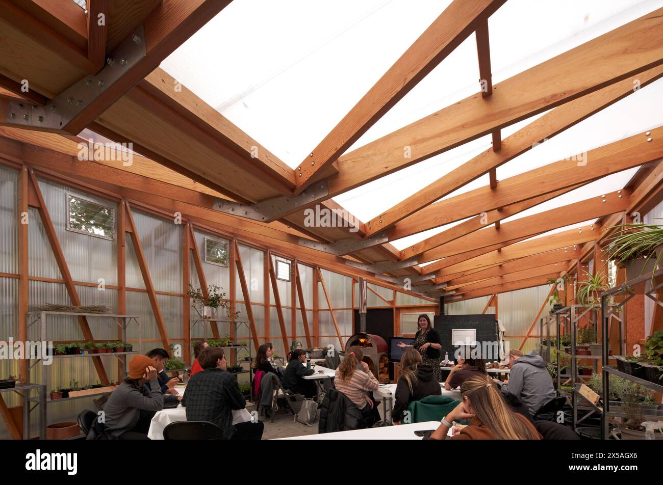 Classroom interior with timber ceiling frame. Cody Dock - The Growing ...