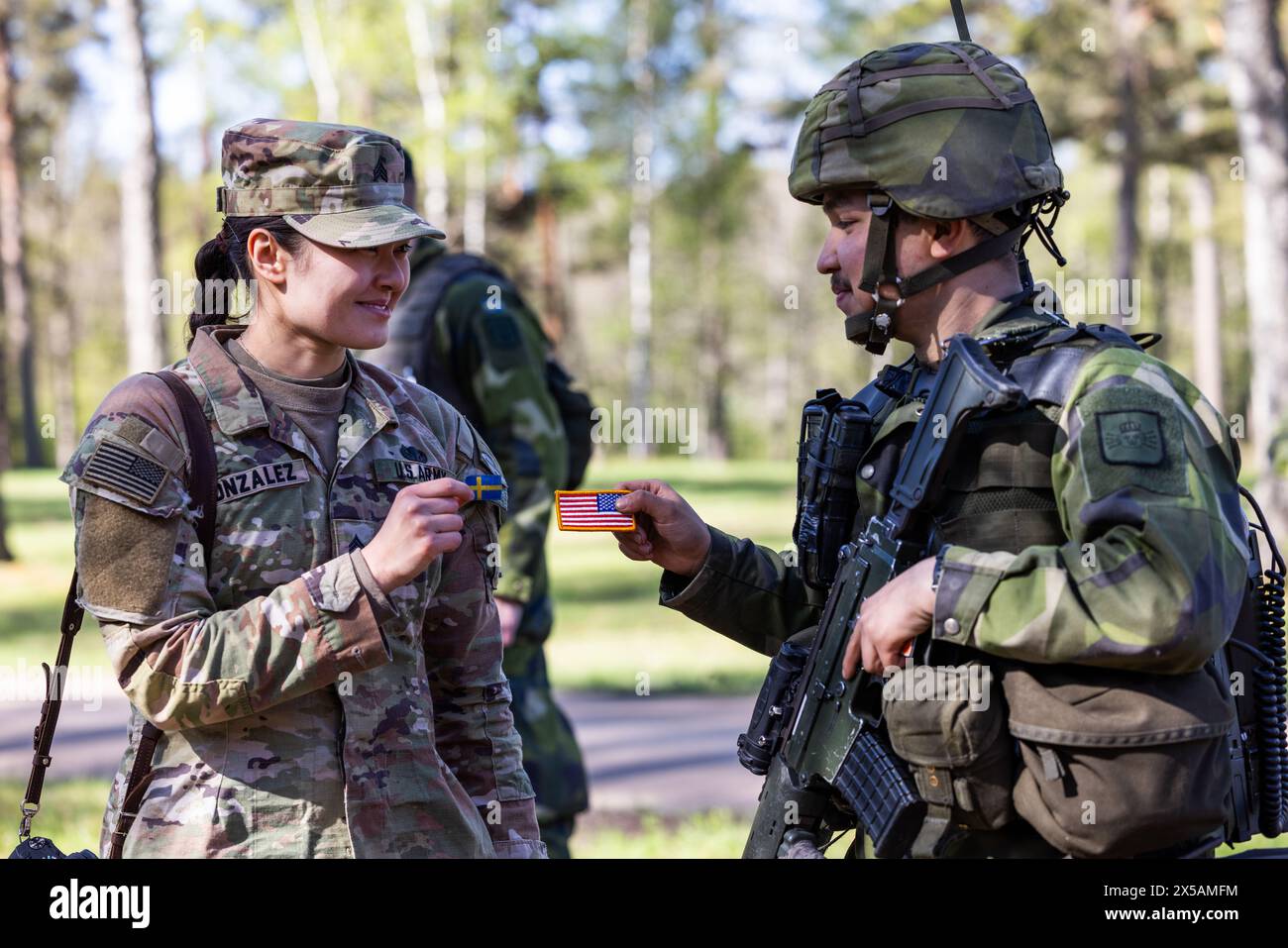 11th Airborne Division from the US Army co-based with the Swedish Army ...