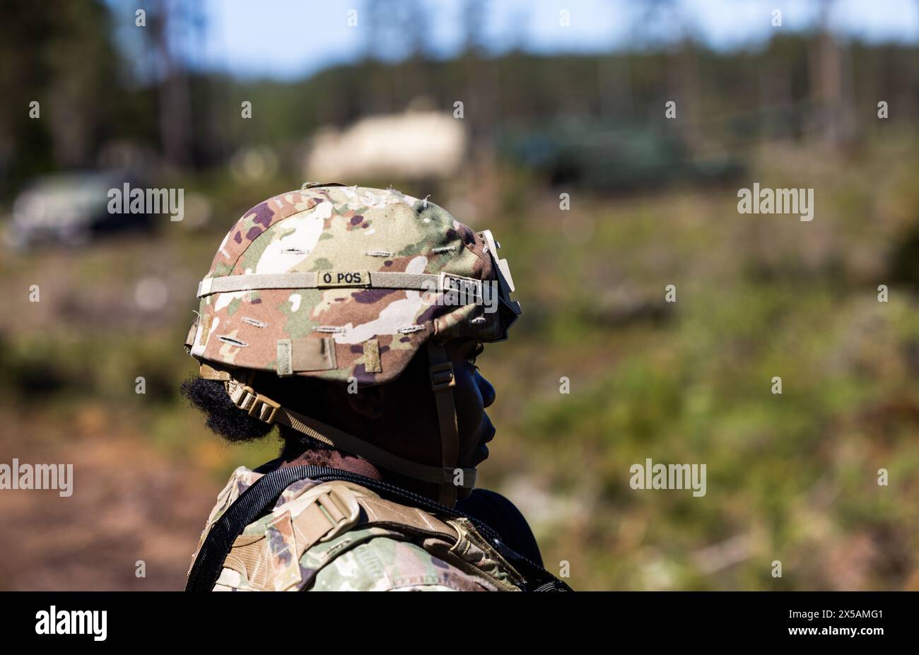 11th Airborne Division from the US Army co-based with the Swedish Army ...
