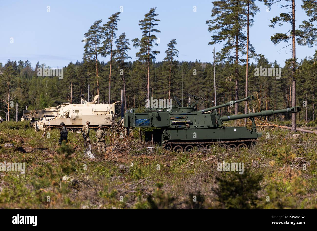 11th Airborne Division from the US Army co-based with the Swedish Army ...