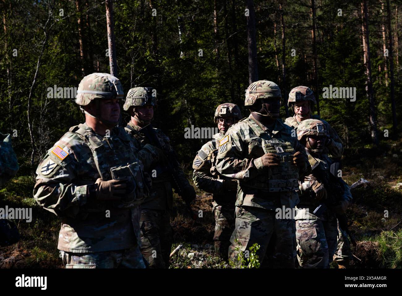 11th Airborne Division from the US Army co-based with the Swedish Army ...
