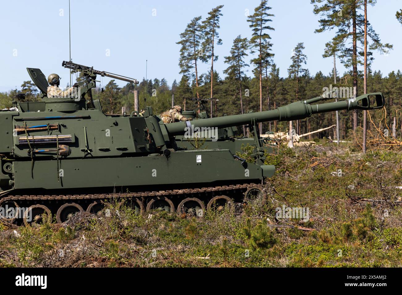 11th Airborne Division from the US Army co-based with the Swedish Army ...