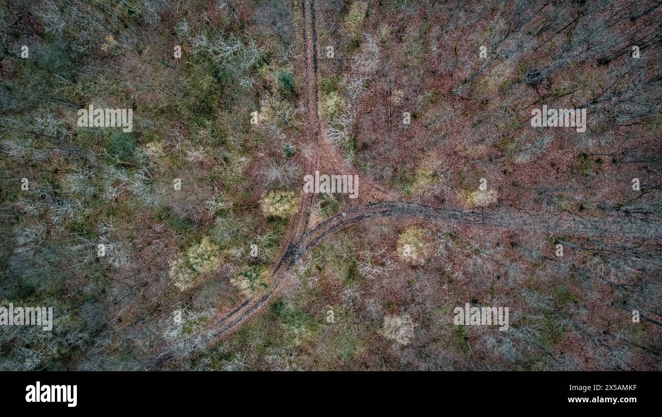 Aerial view forest path hi-res stock photography and images - Alamy