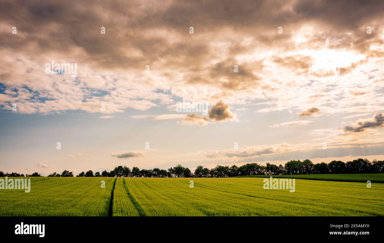 Field sky sunset germany grass tractor hi-res stock photography and ...