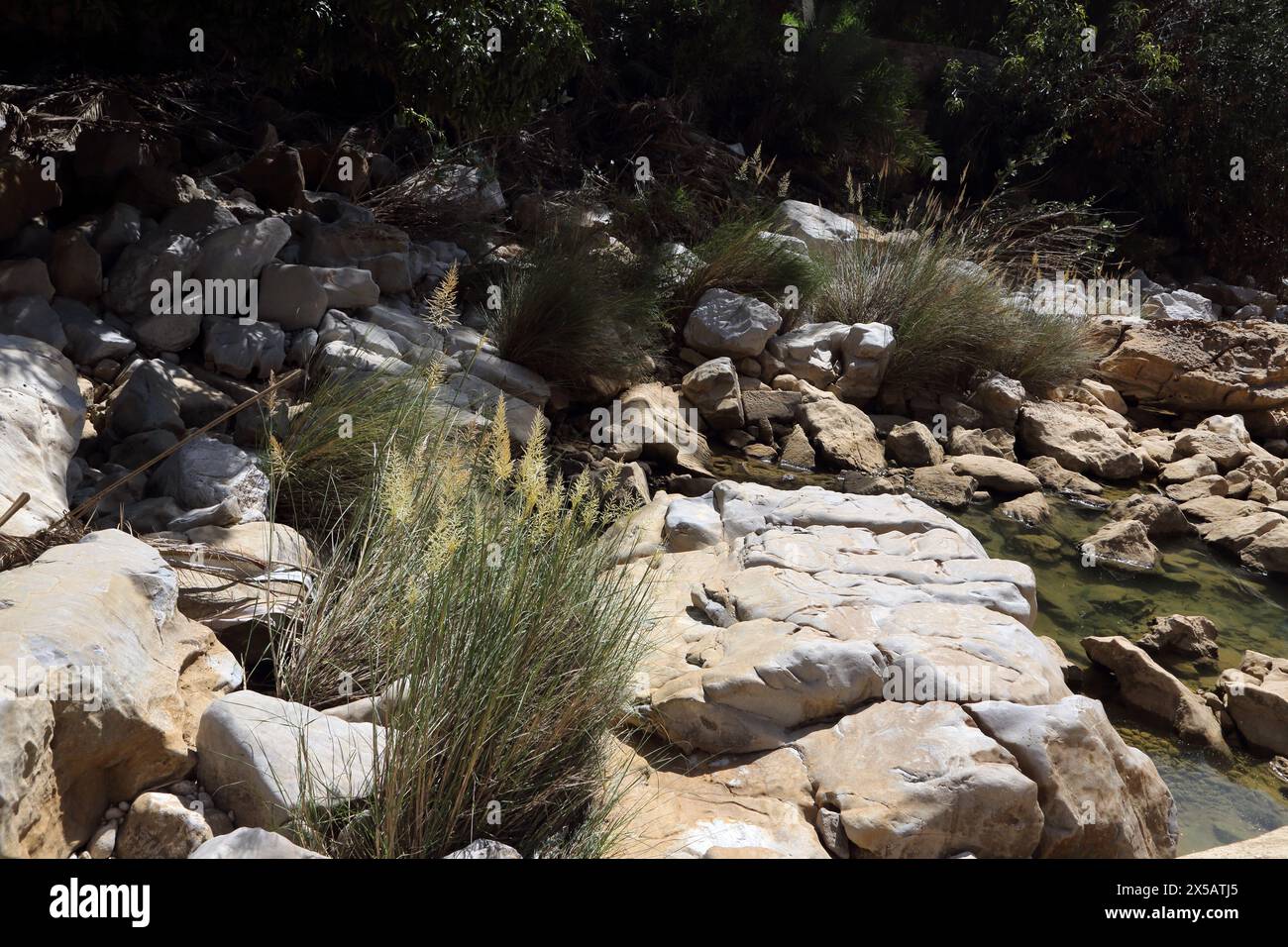 Wadi Bani Khalid Natural Springs flow Throughout the Year in Eastern ...