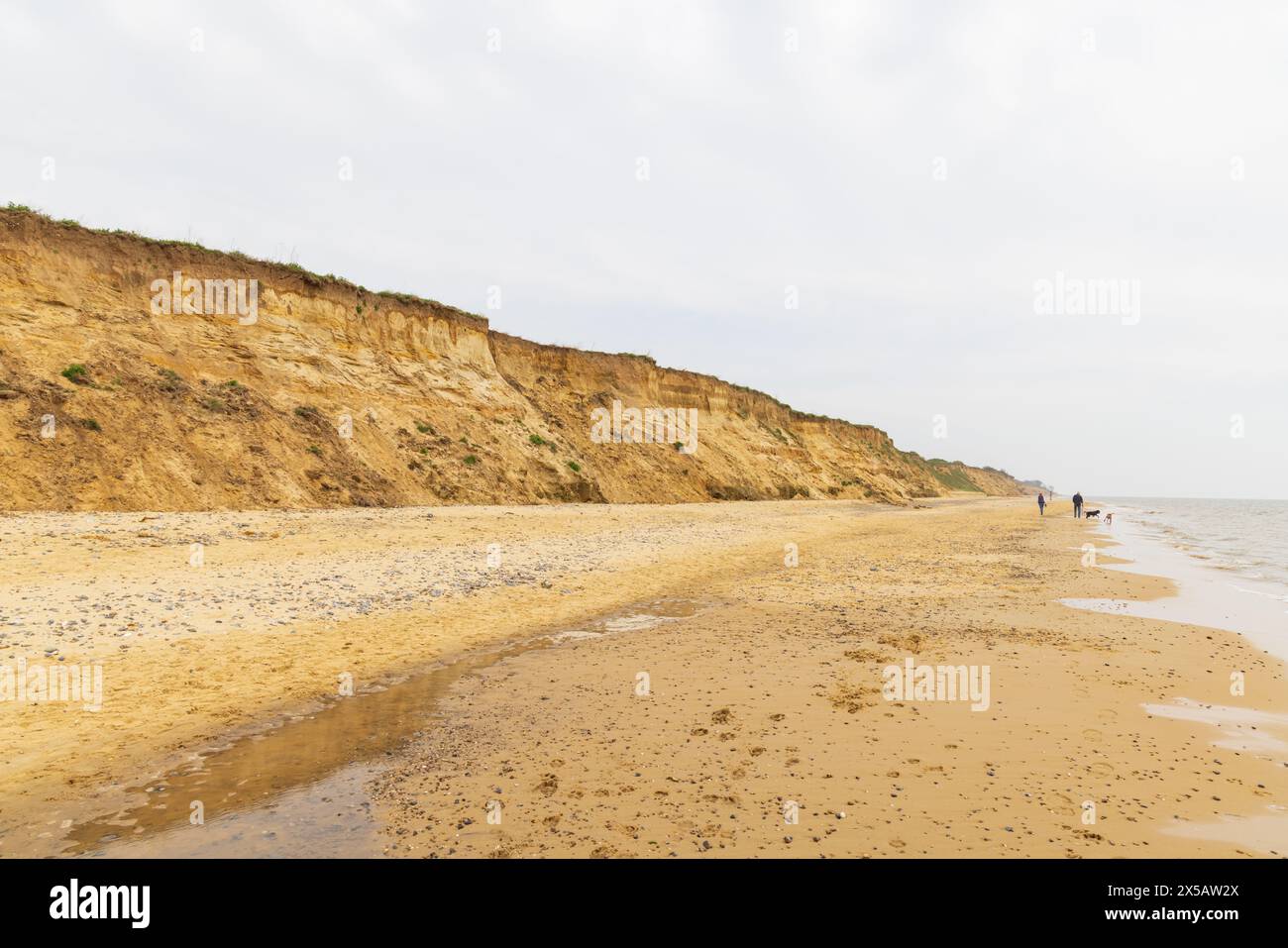 The crumbling cliffs on Covehithe Beach, Covehithe, Suffolk. UK Stock ...