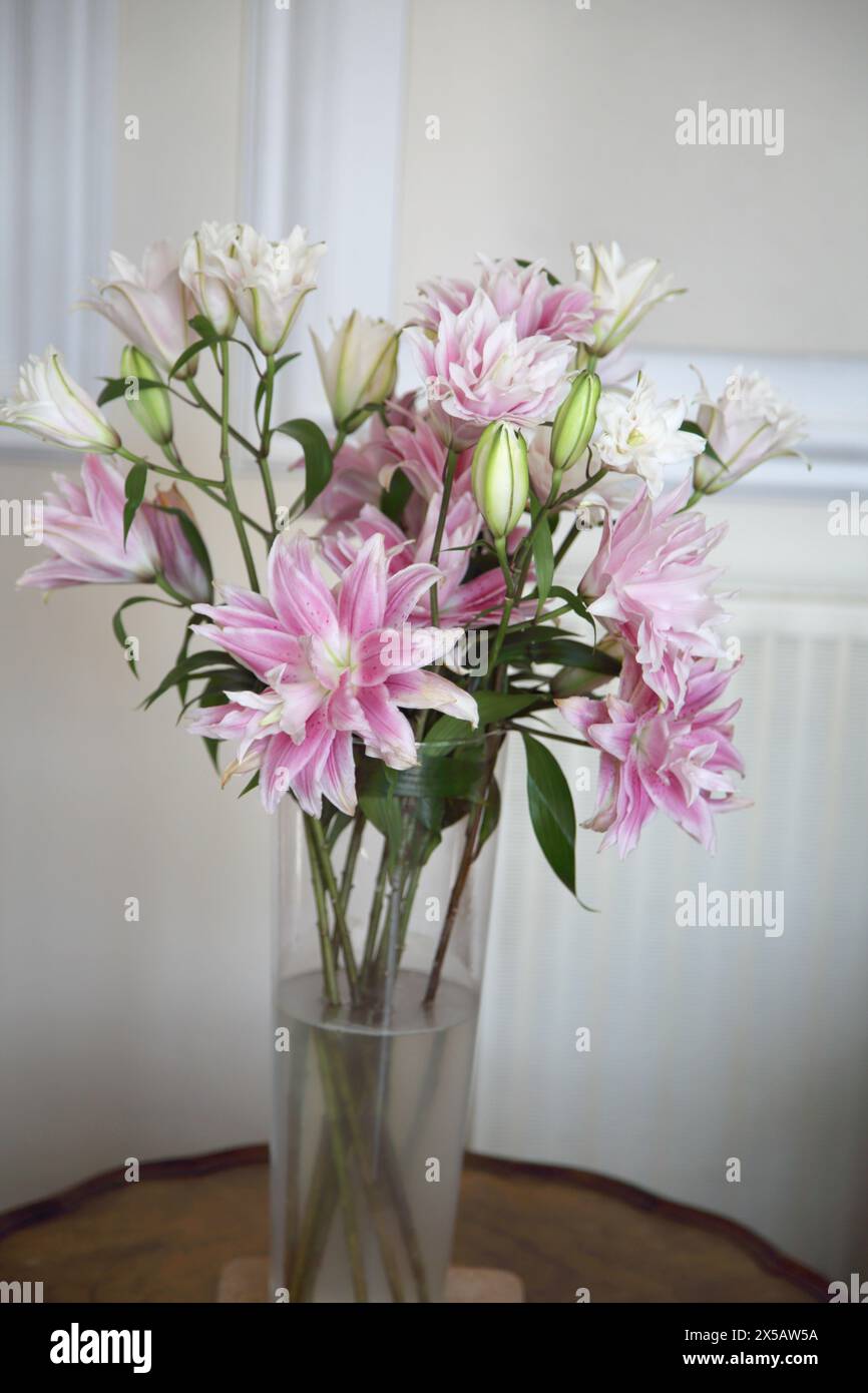 Long stemmed flowers hi-res stock photography and images - Alamy