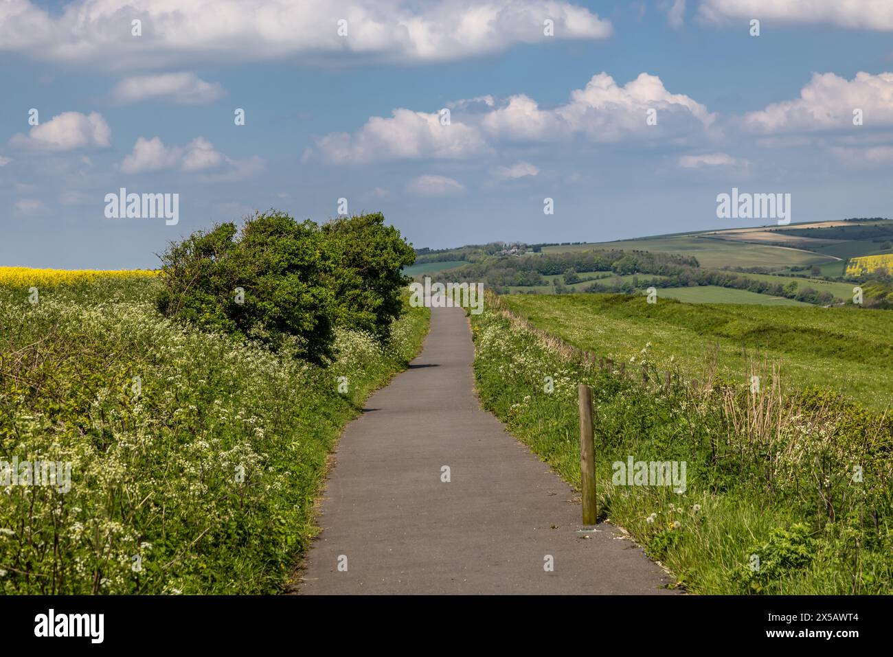 A tarmac pathway alongside farmland in Falmer, in the South Downs Stock ...