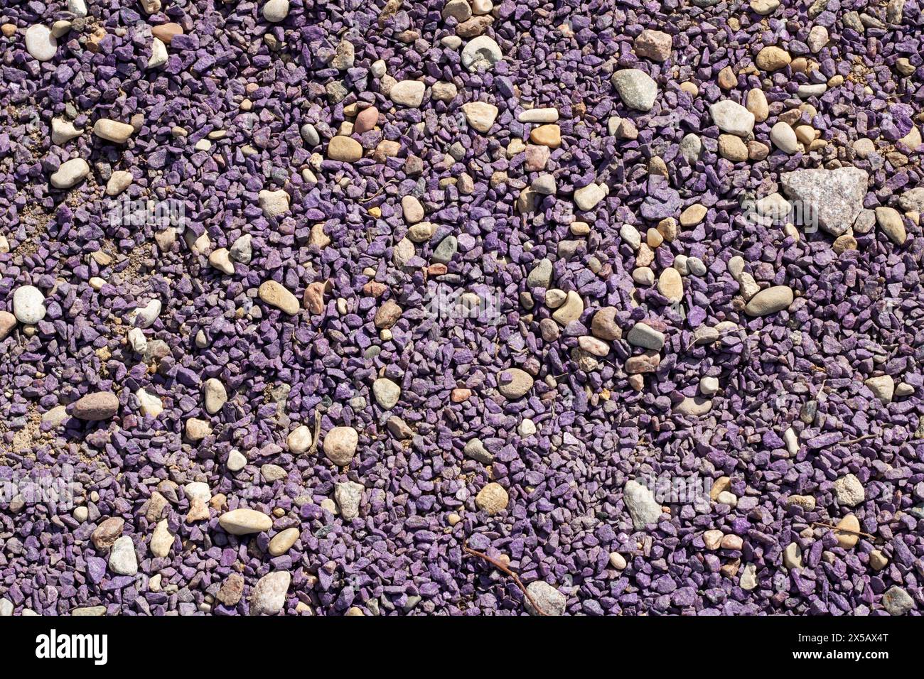 A mixture of purple gravel, rocks, and pebbles is scattered on the ...