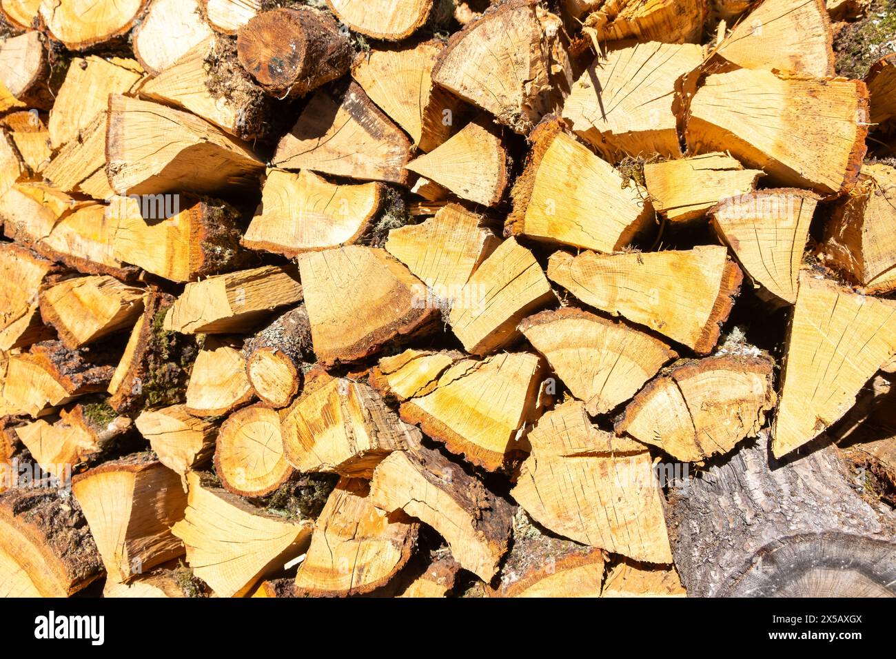 cut and stacked oak firewood, textured firewood background Stock Photo ...