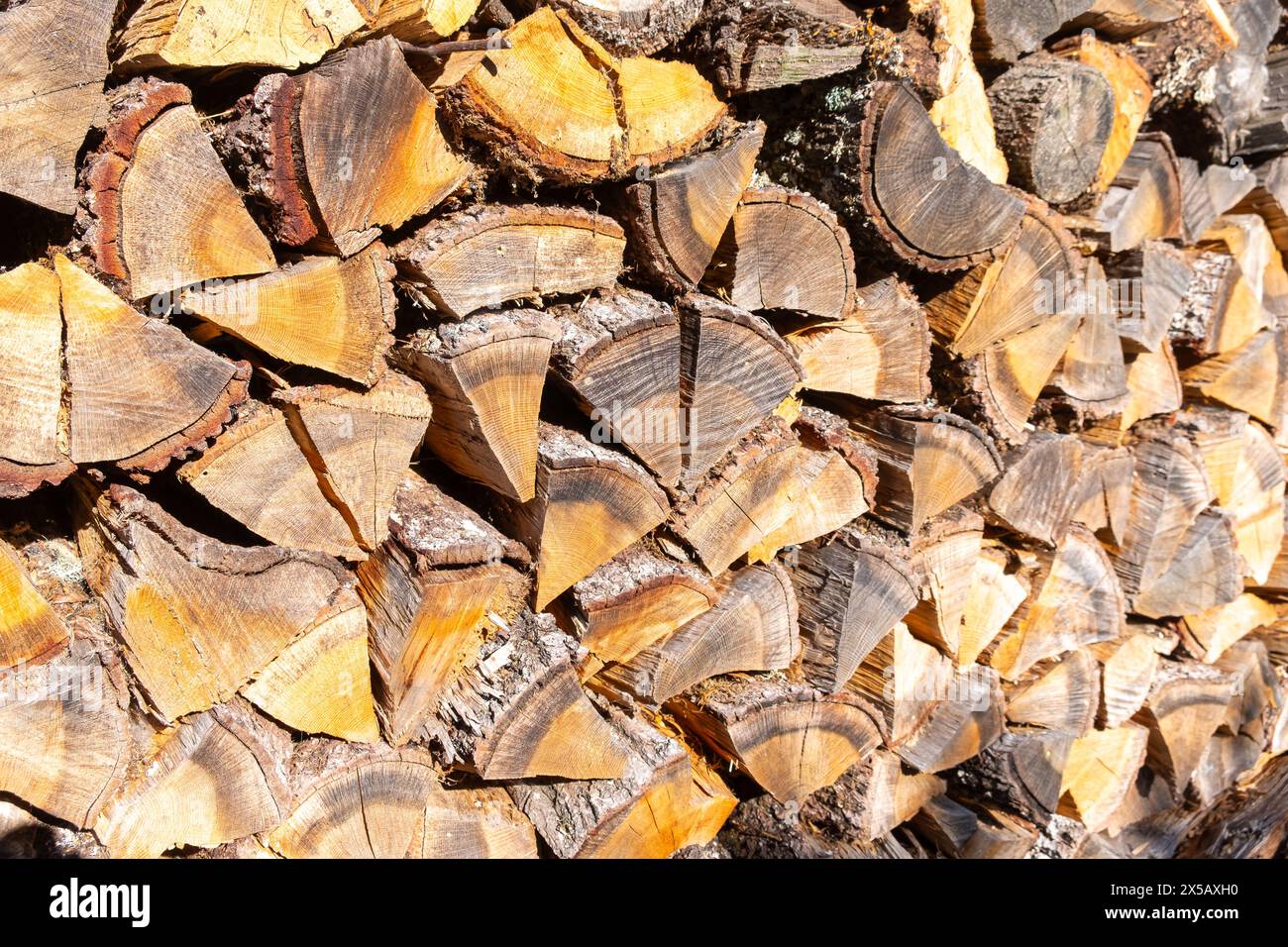 Chopped oak wood hi-res stock photography and images - Alamy