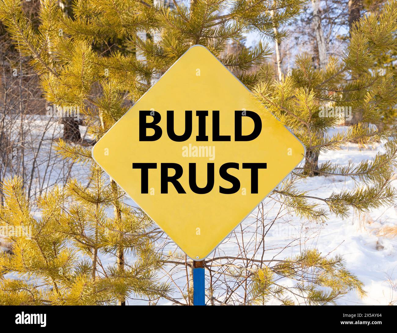 Build trust symbol. Concept words Build trust on beautiful yellow road ...